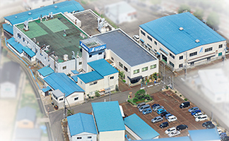 Shinwa Rules Co., Ltd. - About Us